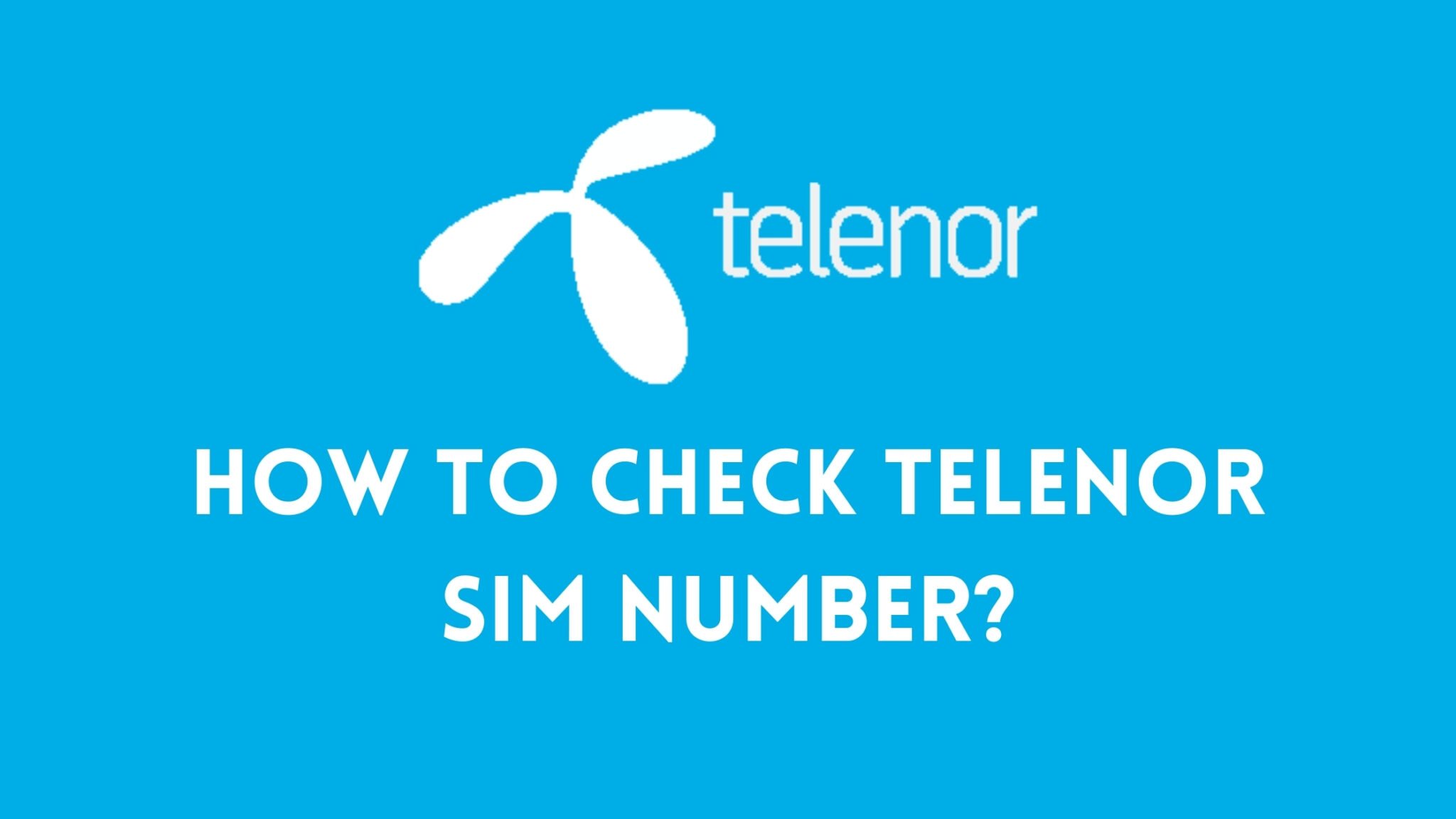 Check Your Telenor Number in 2026 - Find Telenor Number